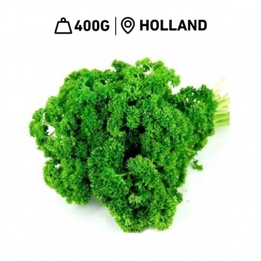 Buy Fresh Dutch English Parsley (400 g Approx.) | توصيل Taw9eel.com