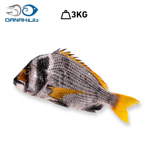 Buy Danah Fresh Kuwaiti Faskar Fish 3 Kg (3 - 4 Pieces) - delivered by ...